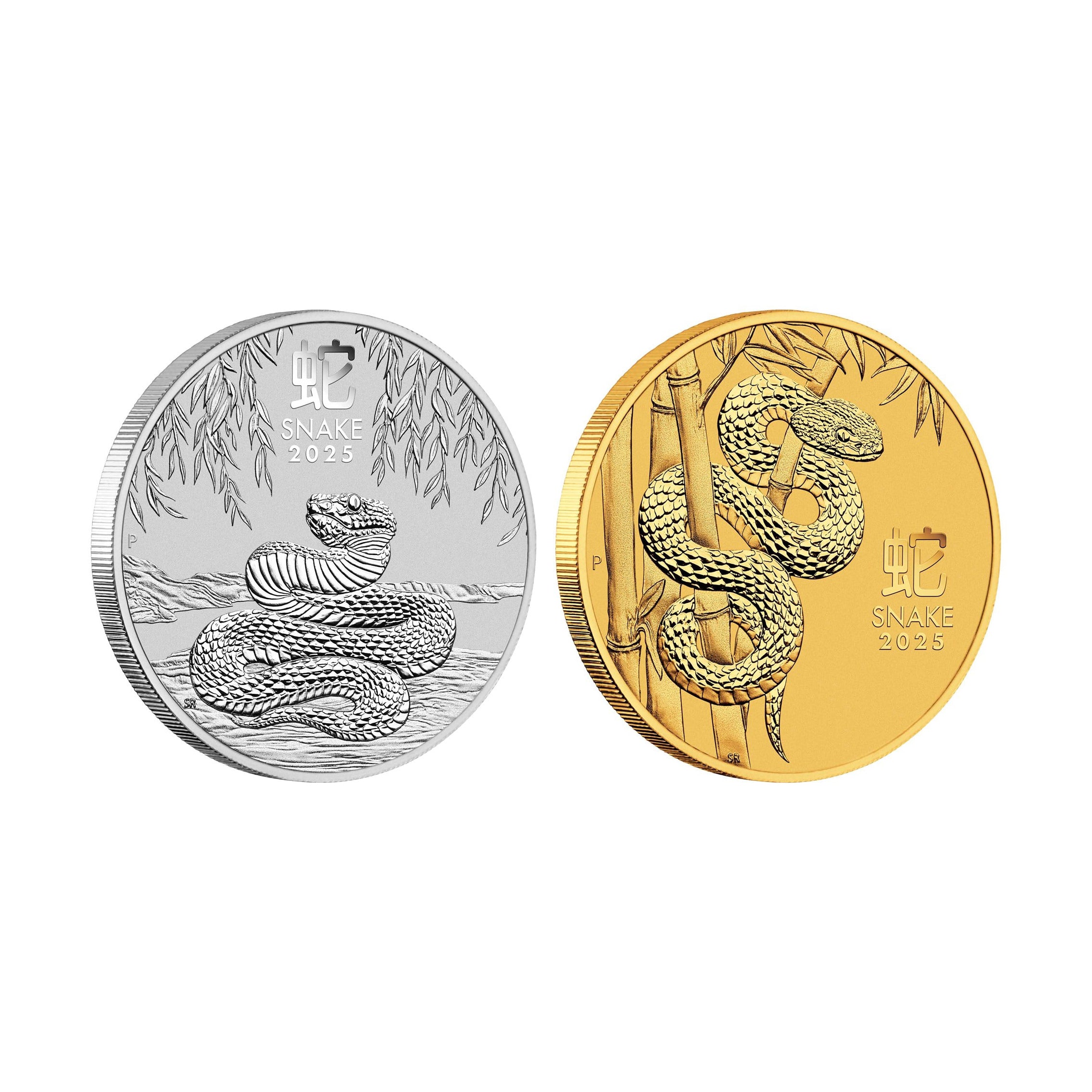 Perth Mint 2025 Lunar Year of The Snake Bullion Coins - Australian Lun ...